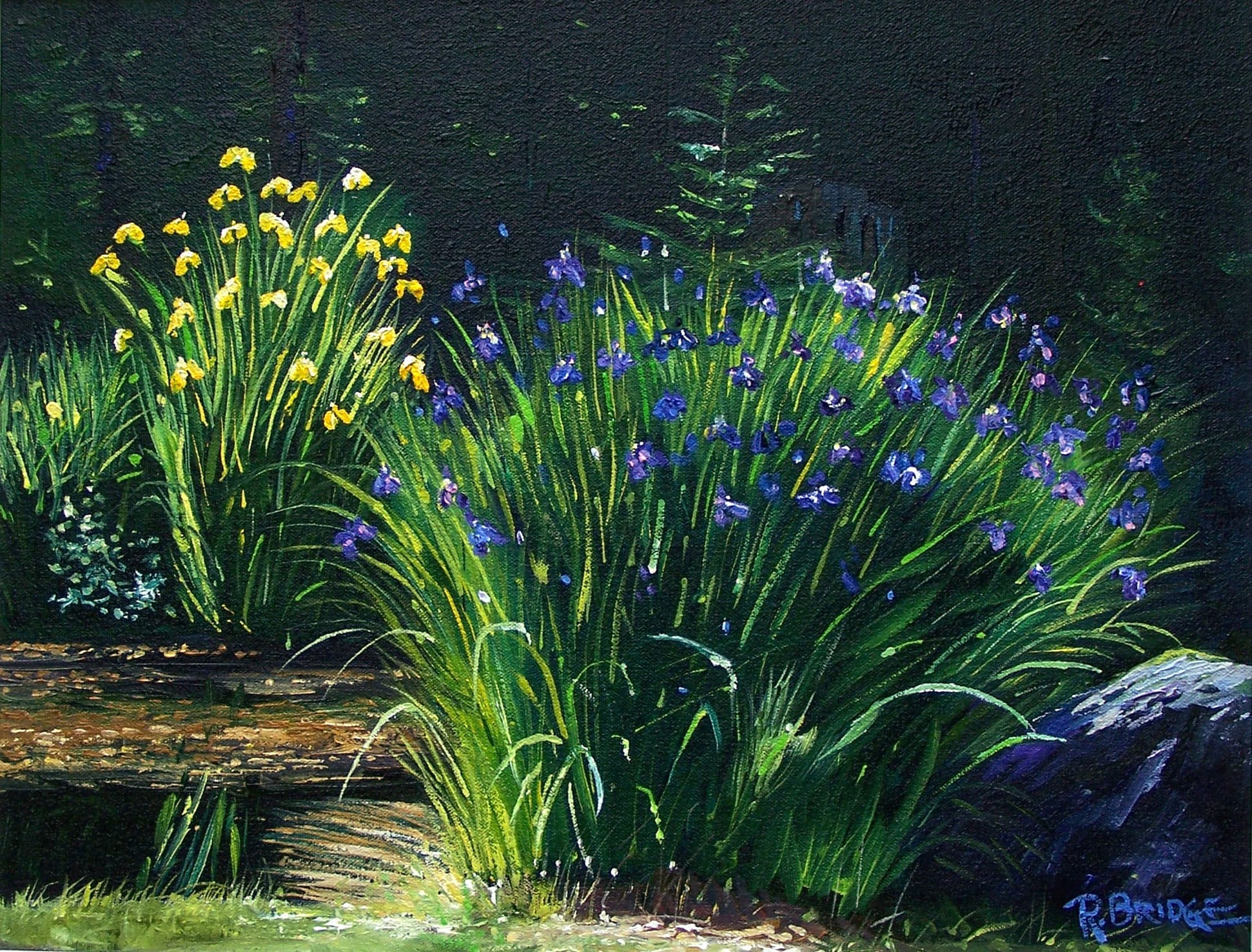 Irises - Ron Bridge